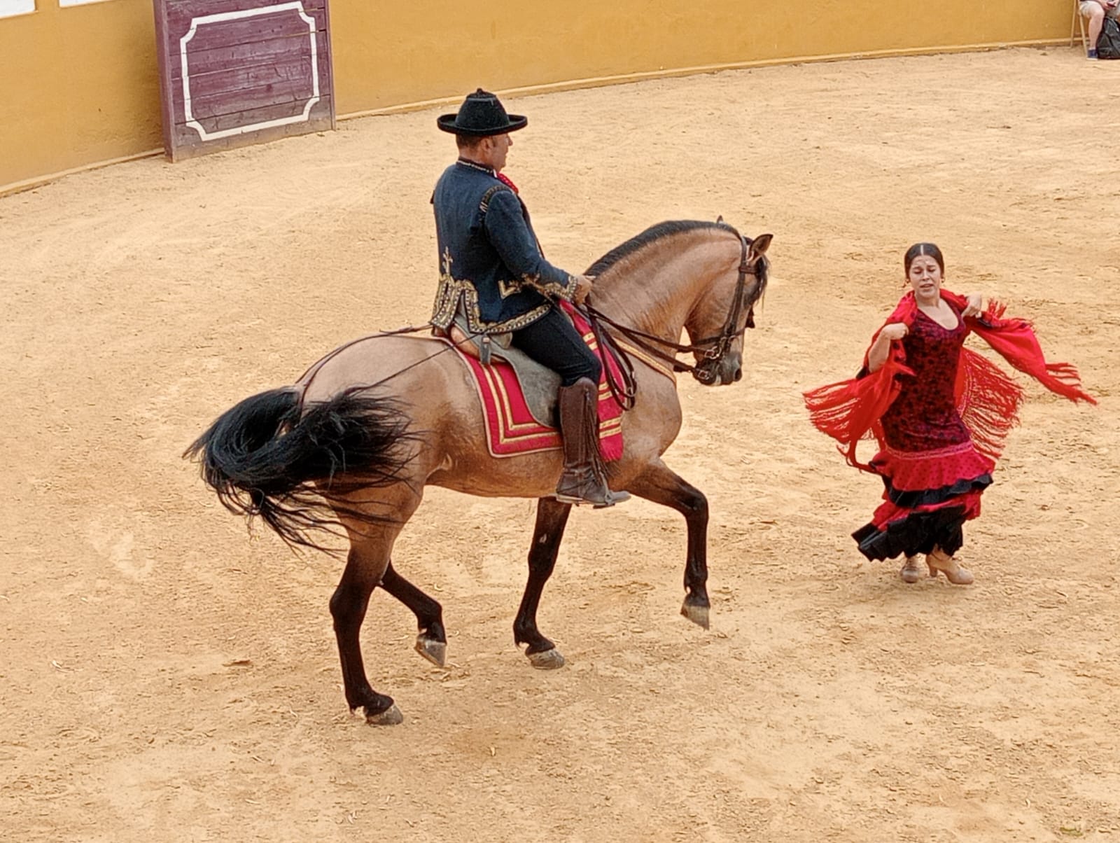 FLAMENCO AL TROTE | Gorrion de Asfalto
